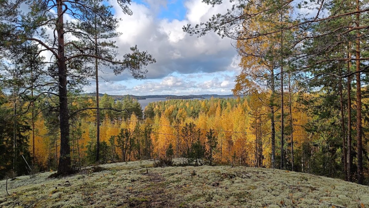 Puumalan kylät | Puumala